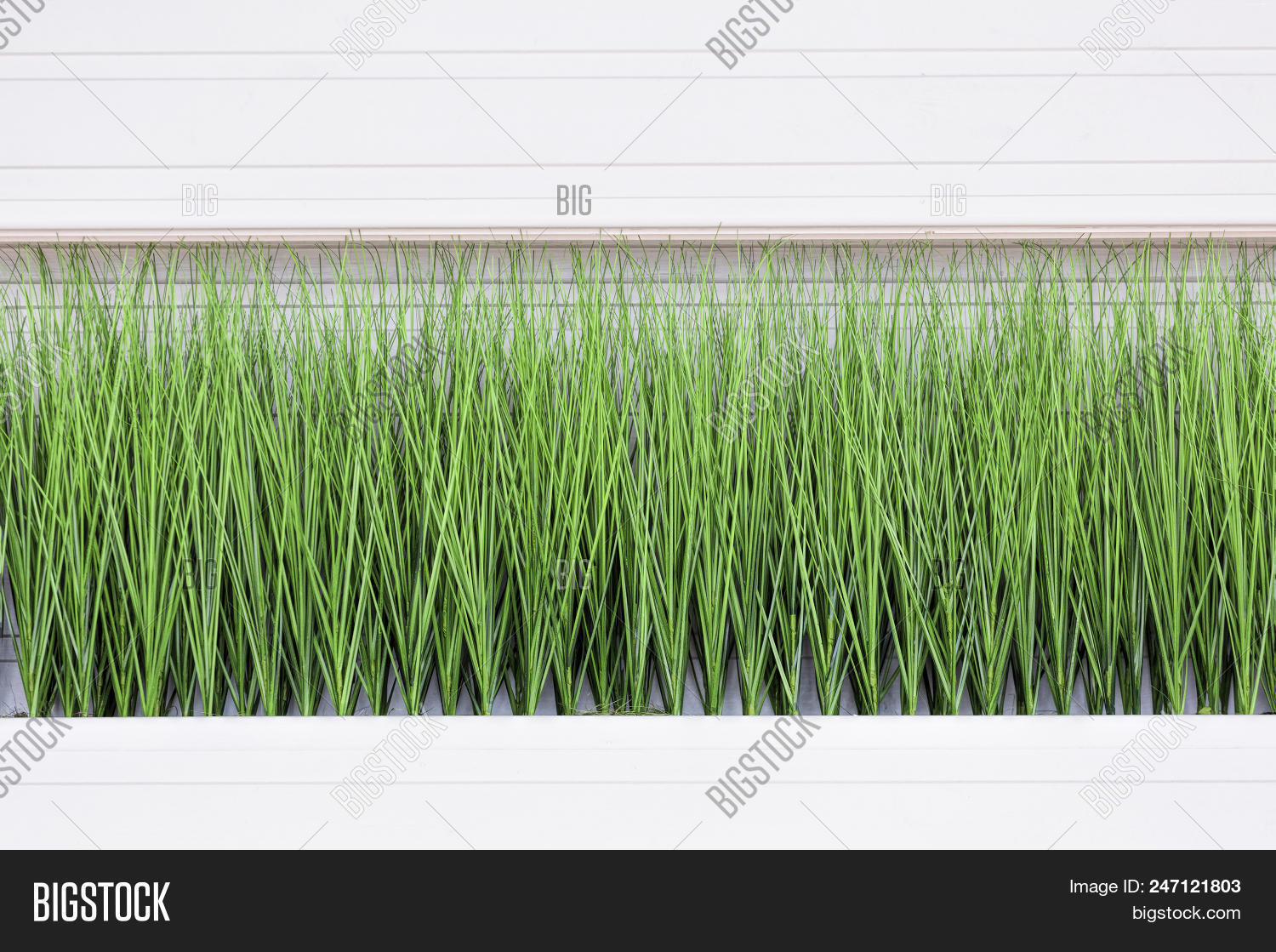 Green Grass Decorative Image & Photo (Free Trial) | Bigstock