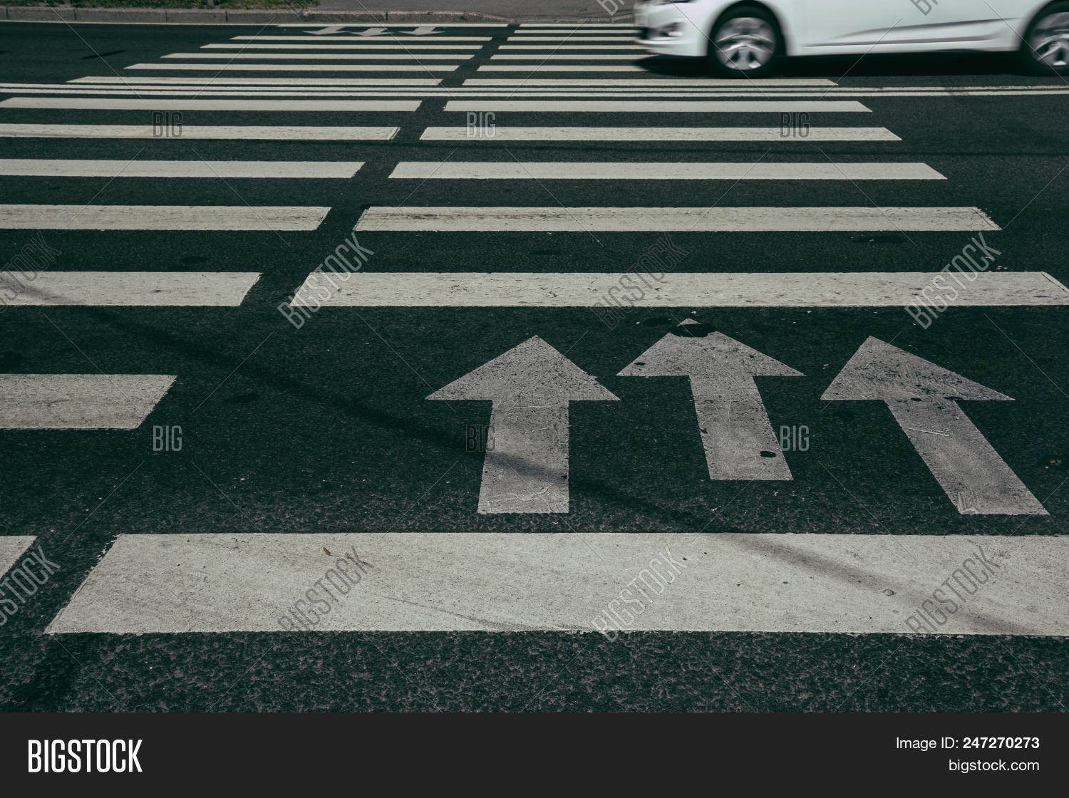 Crosswalk Car. Busy Image & Photo (Free Trial) | Bigstock