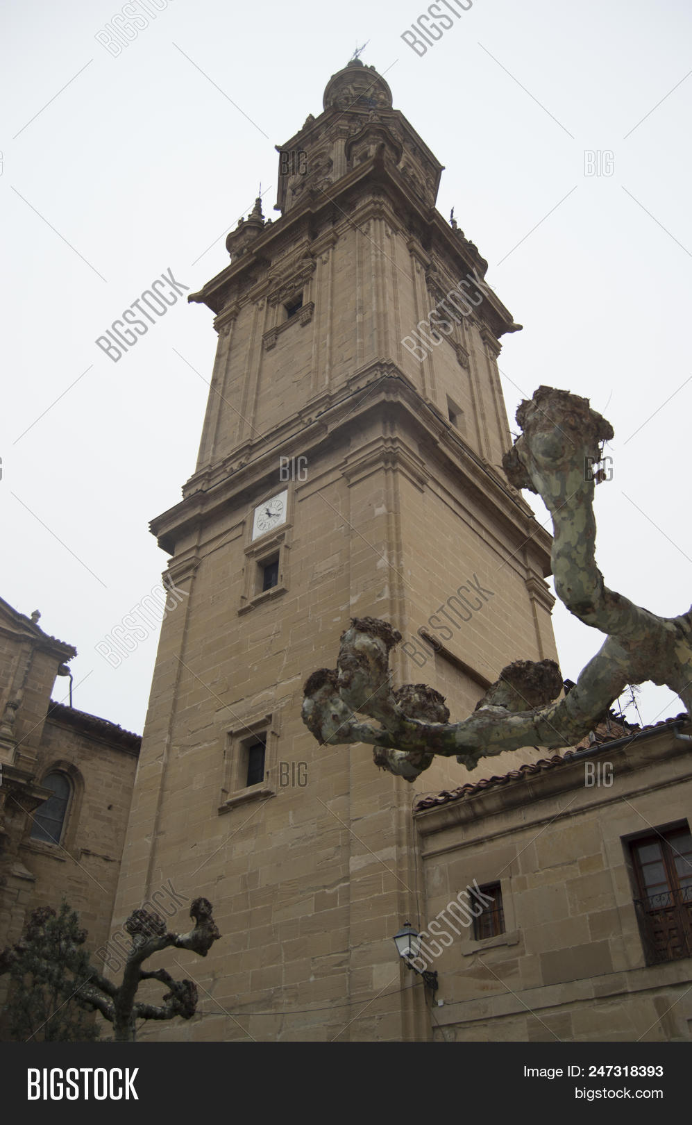 Beautiful Bell Tower Image & Photo (Free Trial) | Bigstock