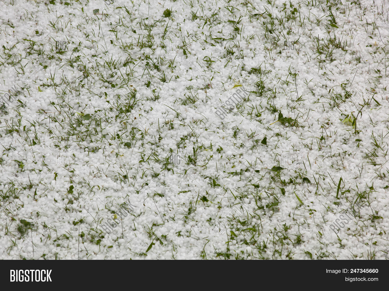 Hail - Summer Storm Image & Photo (Free Trial) | Bigstock