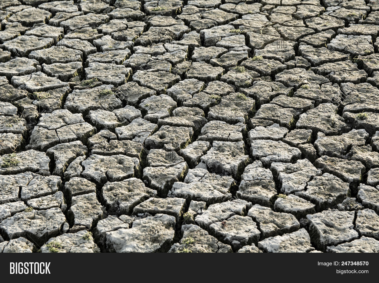 Cracked Lands No Water Image & Photo (Free Trial) | Bigstock