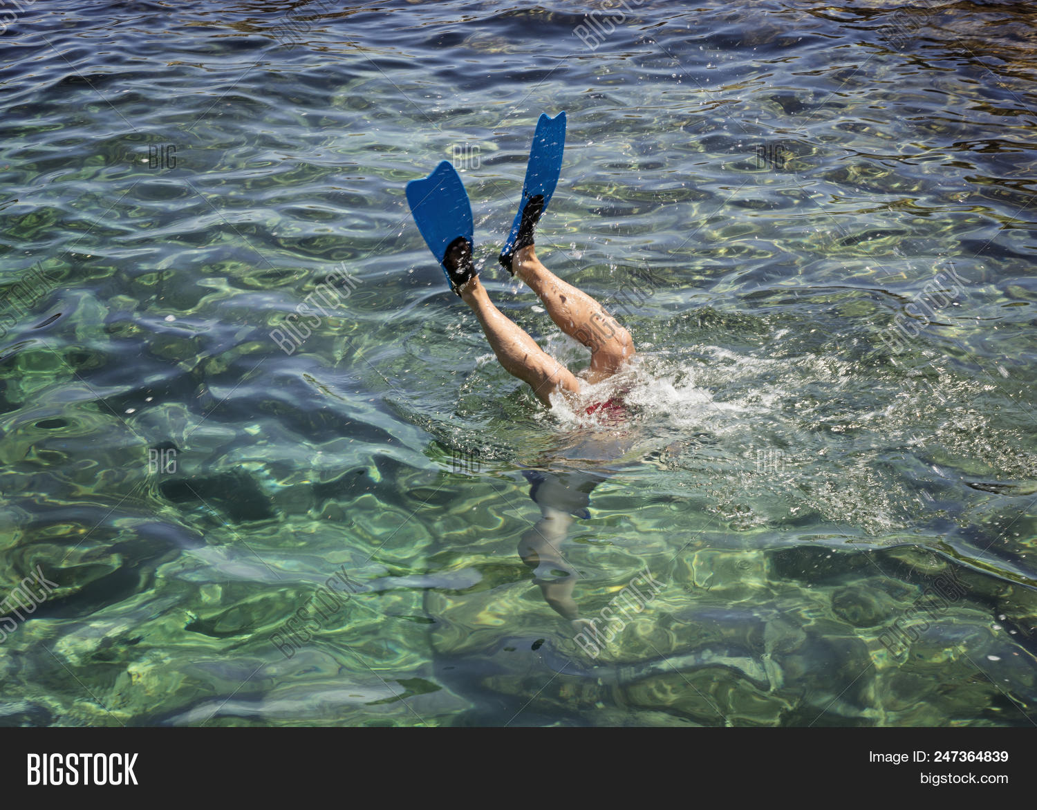 Diver Flipper Dive Image & Photo (Free Trial) | Bigstock