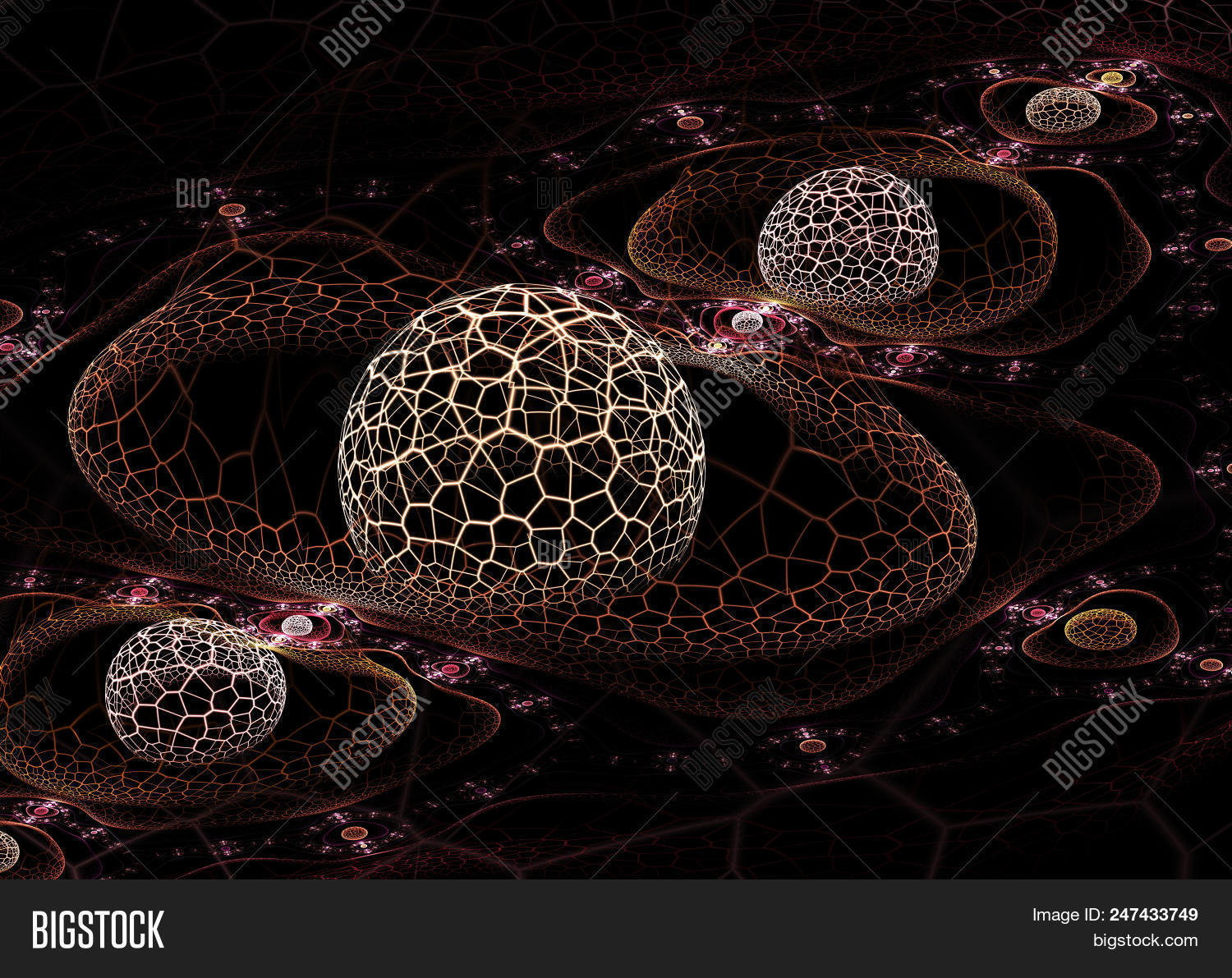 Fractal Transparent Image & Photo (Free Trial) | Bigstock