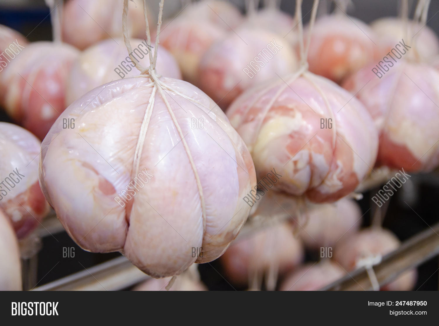 Chicken. Line Image & Photo (Free Trial) | Bigstock
