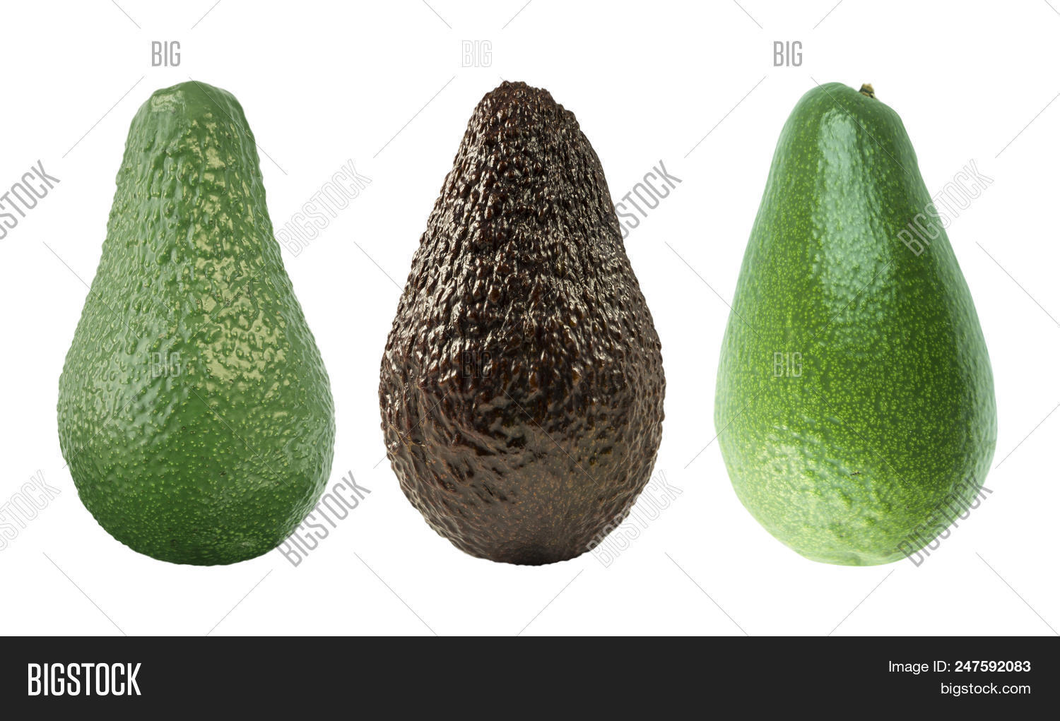 Imagen y foto Three Avocados (prueba gratis) | Bigstock