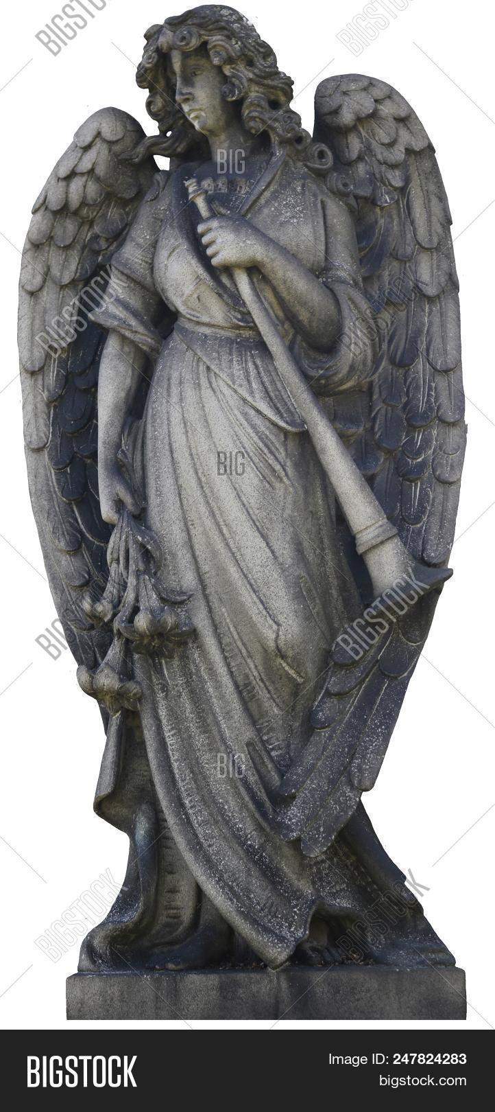 Angel Trumpet Looking Image & Photo (Free Trial) | Bigstock