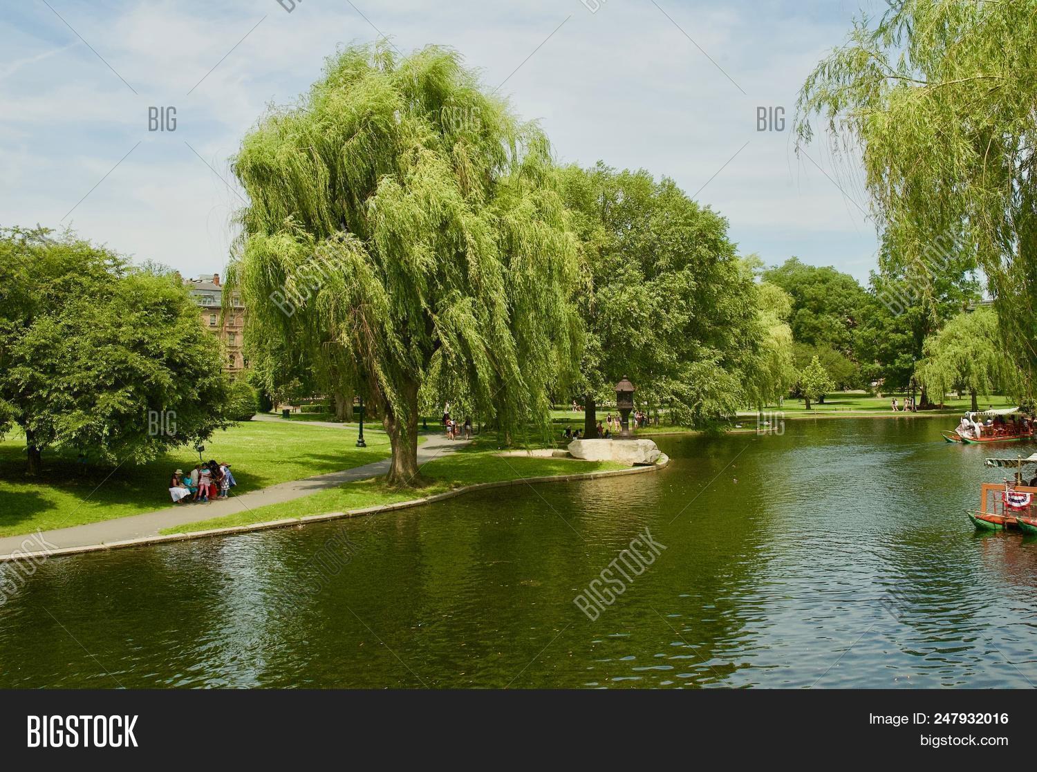 Scenic Landscape View Image & Photo (Free Trial) | Bigstock