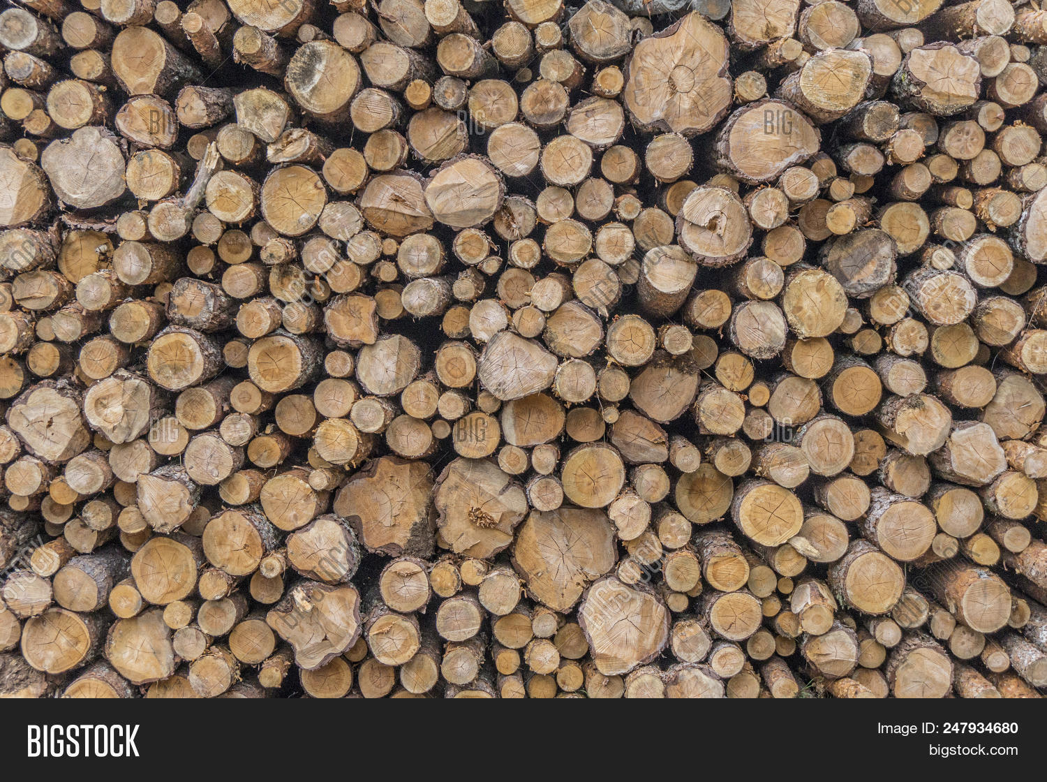 Colorful Material Image & Photo (Free Trial) | Bigstock