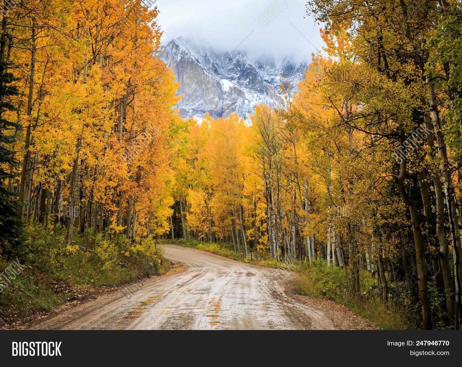 Autumn Colorado - Image & Photo (Free Trial) | Bigstock
