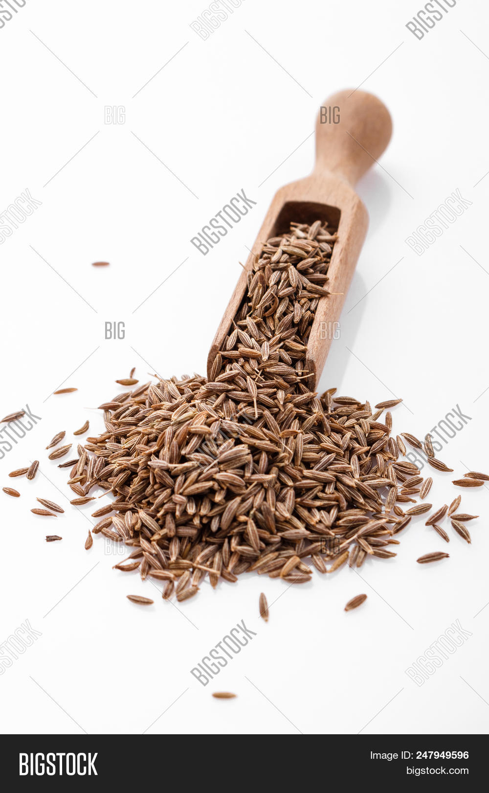 Fragrant Zira On White Image & Photo (Free Trial) | Bigstock