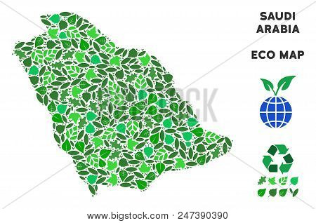 Ecology Saudi Arabia Vector & Photo (Free Trial) | Bigstock