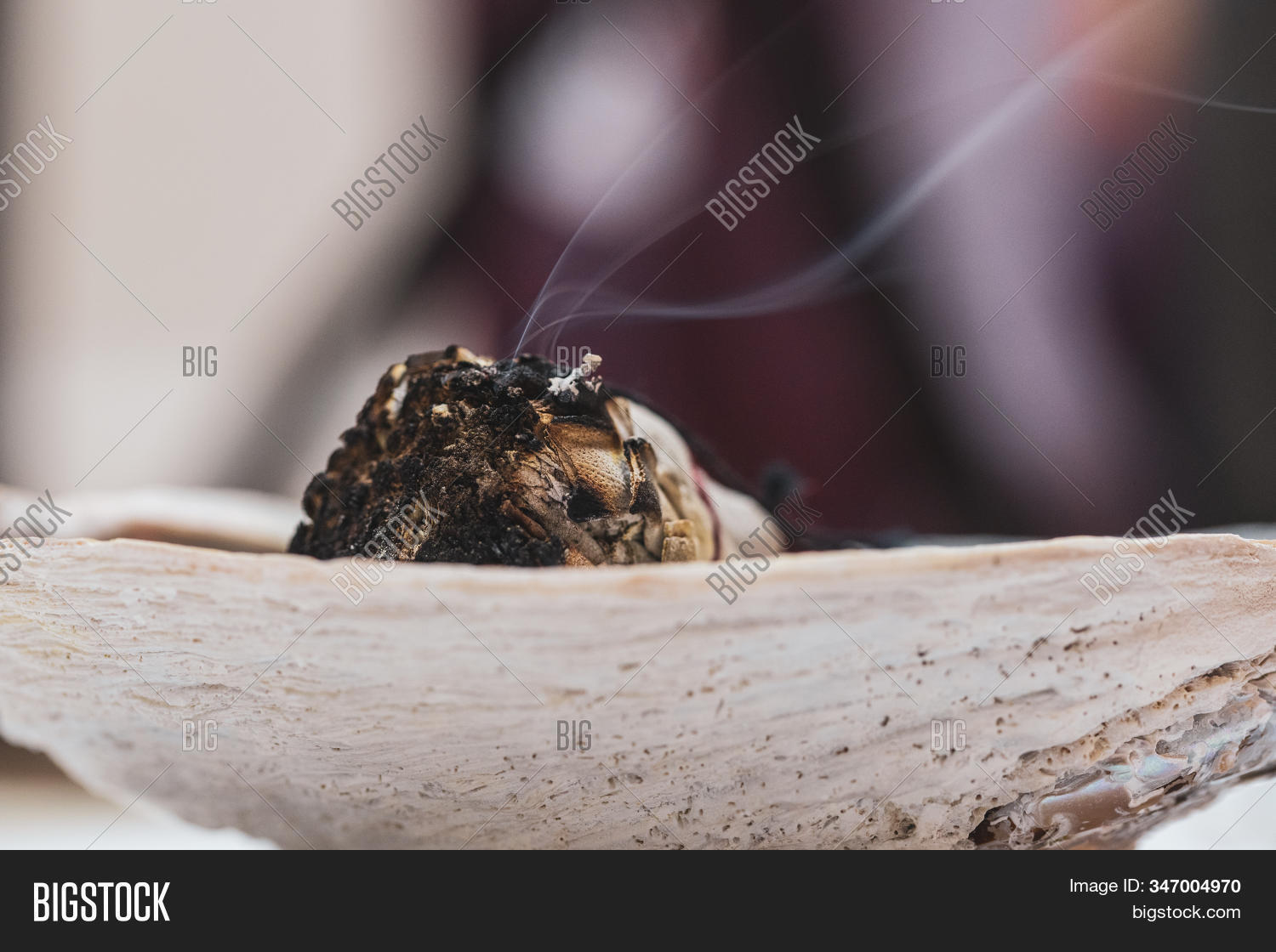 Salvia Apiana, White Image & Photo (Free Trial) | Bigstock