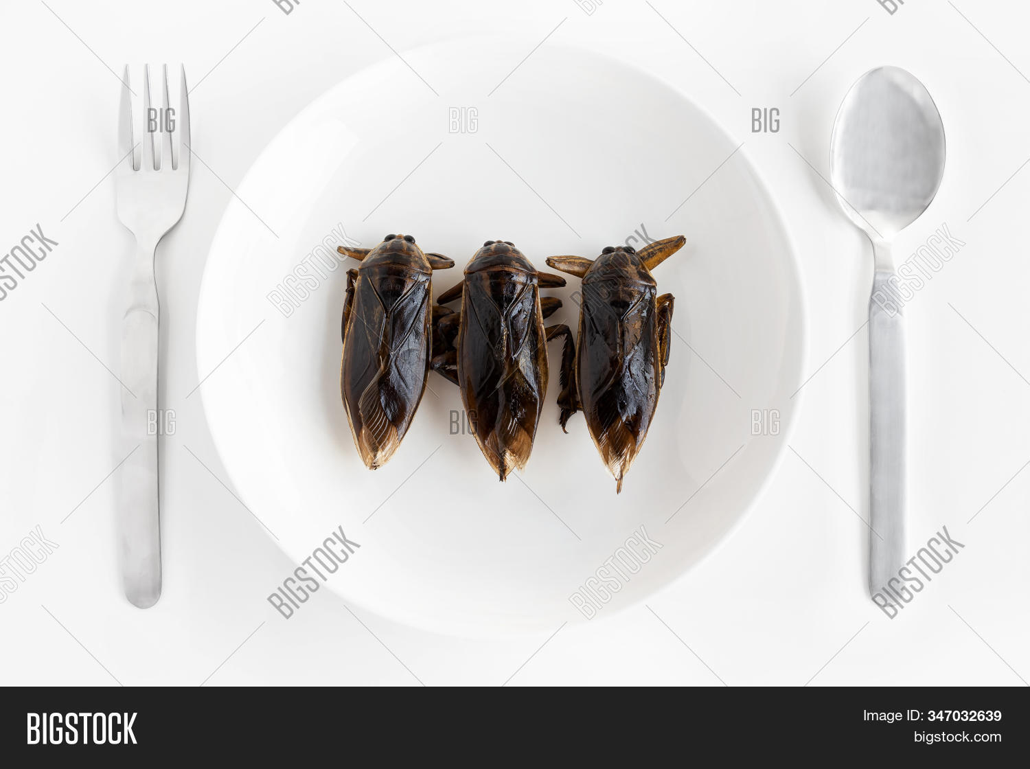 Giant Water Bug Edible Image & Photo (Free Trial) | Bigstock