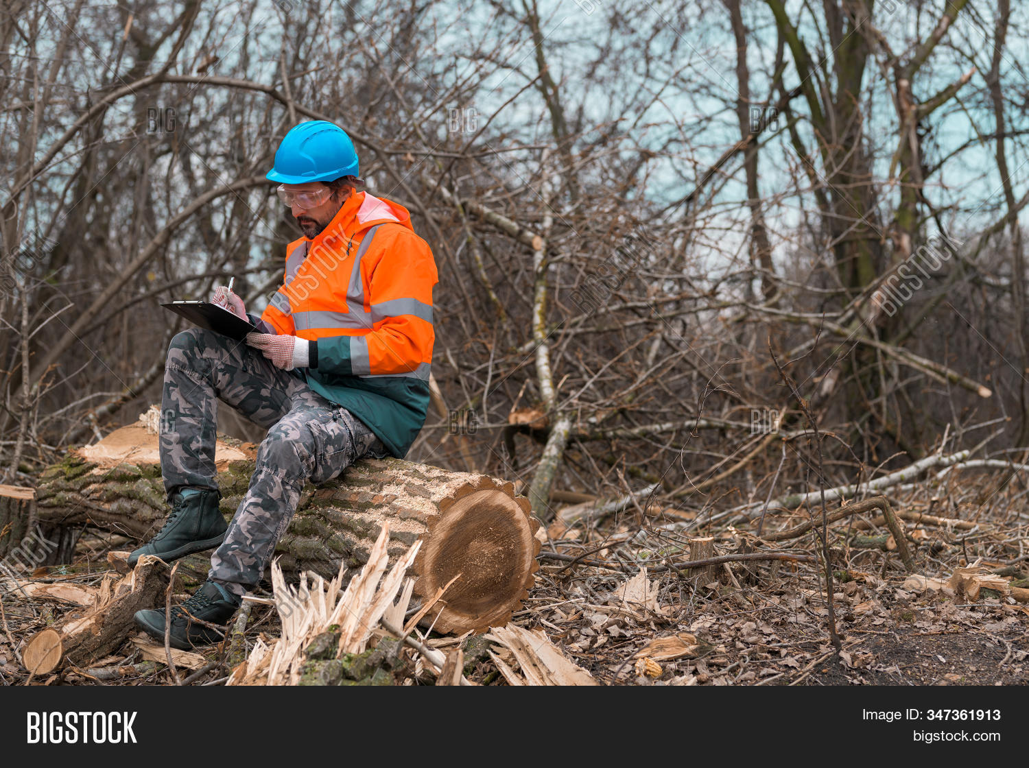 Forestry Technician Image & Photo (Free Trial) | Bigstock