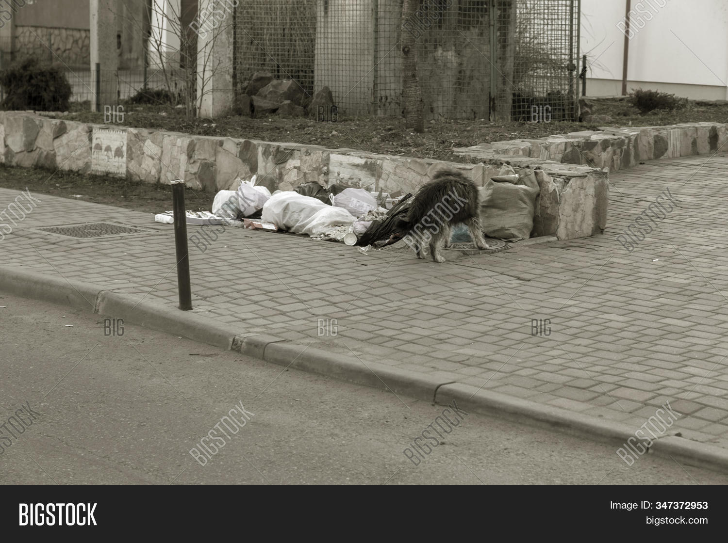Heaps Trash On Road. Image & Photo (Free Trial) | Bigstock
