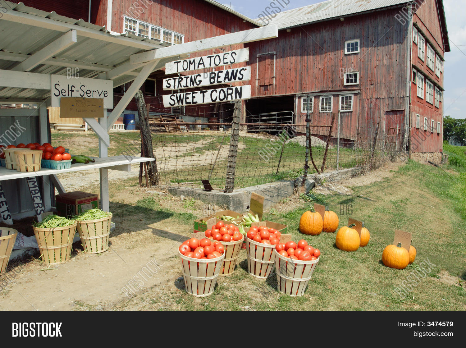Rural Roadside Produce Image & Photo (Free Trial) | Bigstock