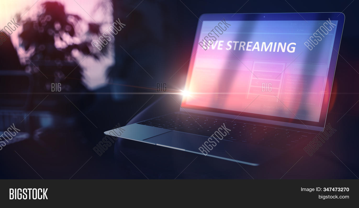 Live Streaming On Image & Photo (Free Trial) | Bigstock