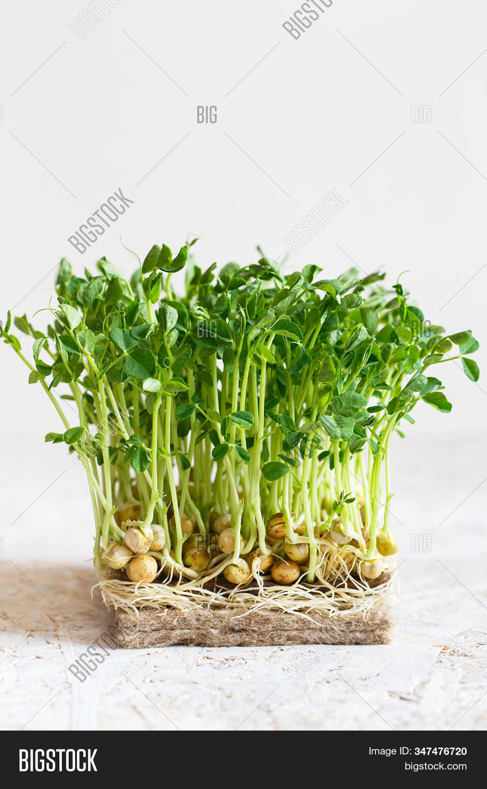 Close- Peas Image & Photo (Free Trial) | Bigstock