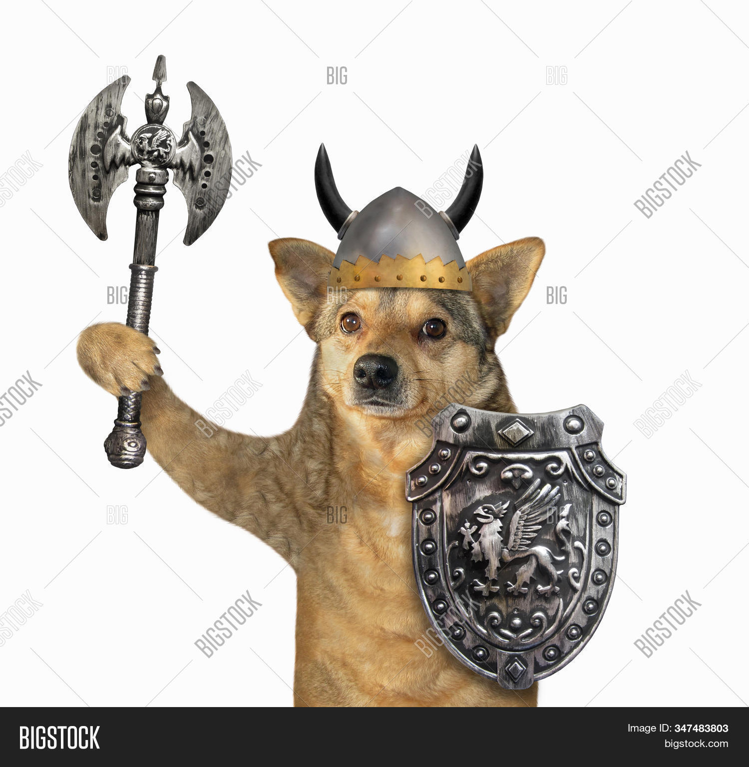 Dog Viking Helmet Image & Photo (Free Trial) | Bigstock