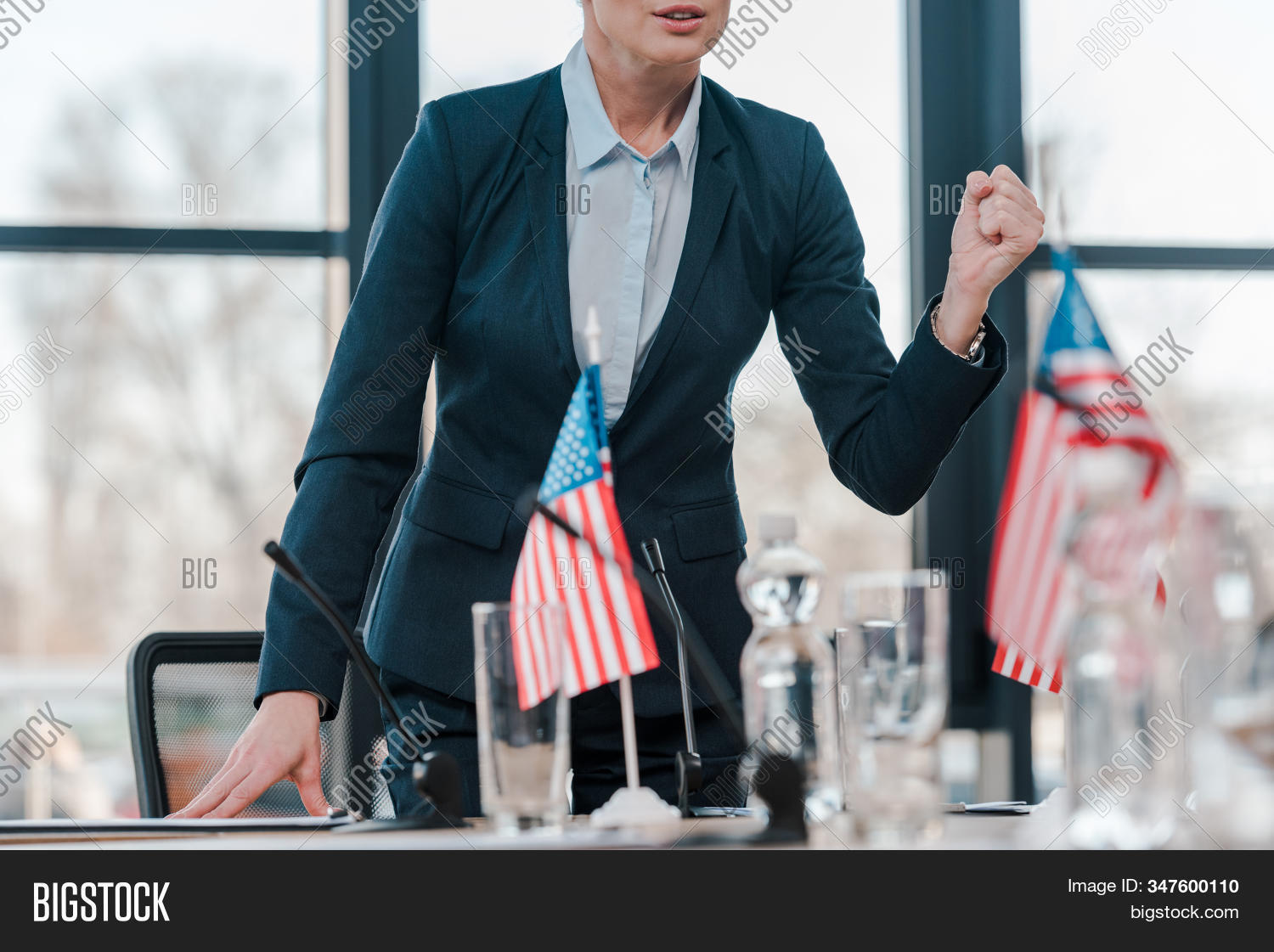 Cropped View Diplomat Image & Photo (Free Trial) | Bigstock