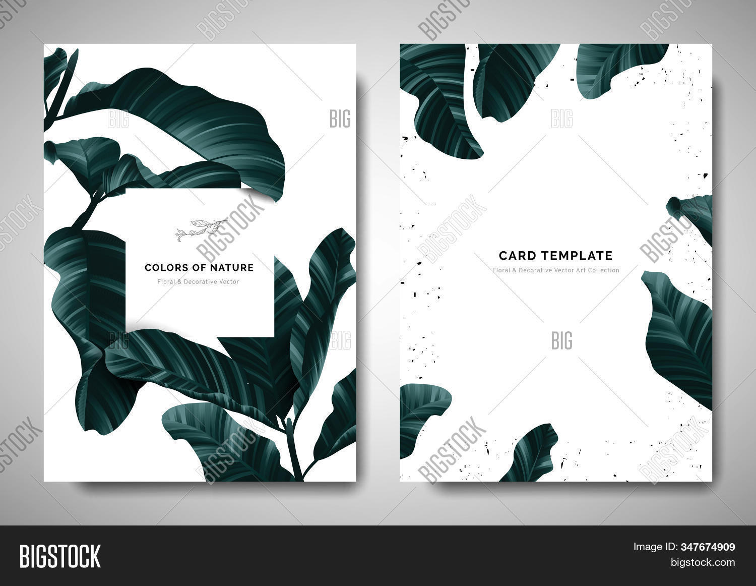 Greenery Greeting/ Vector & Photo (Free Trial) | Bigstock