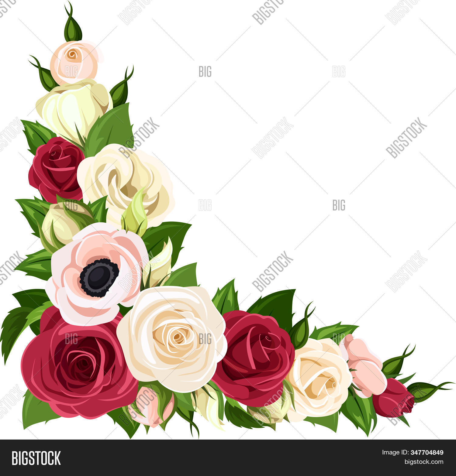 Floral Vector Corner