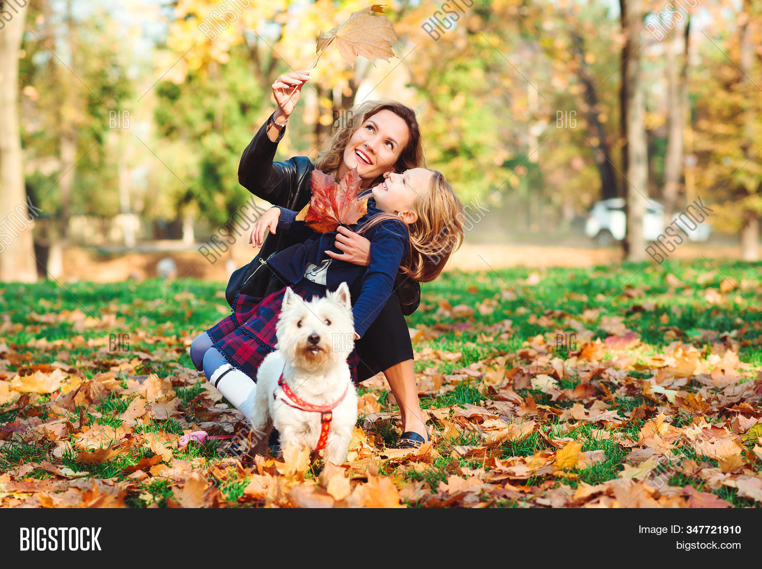 Happy Family Dog Image & Photo (Free Trial) | Bigstock