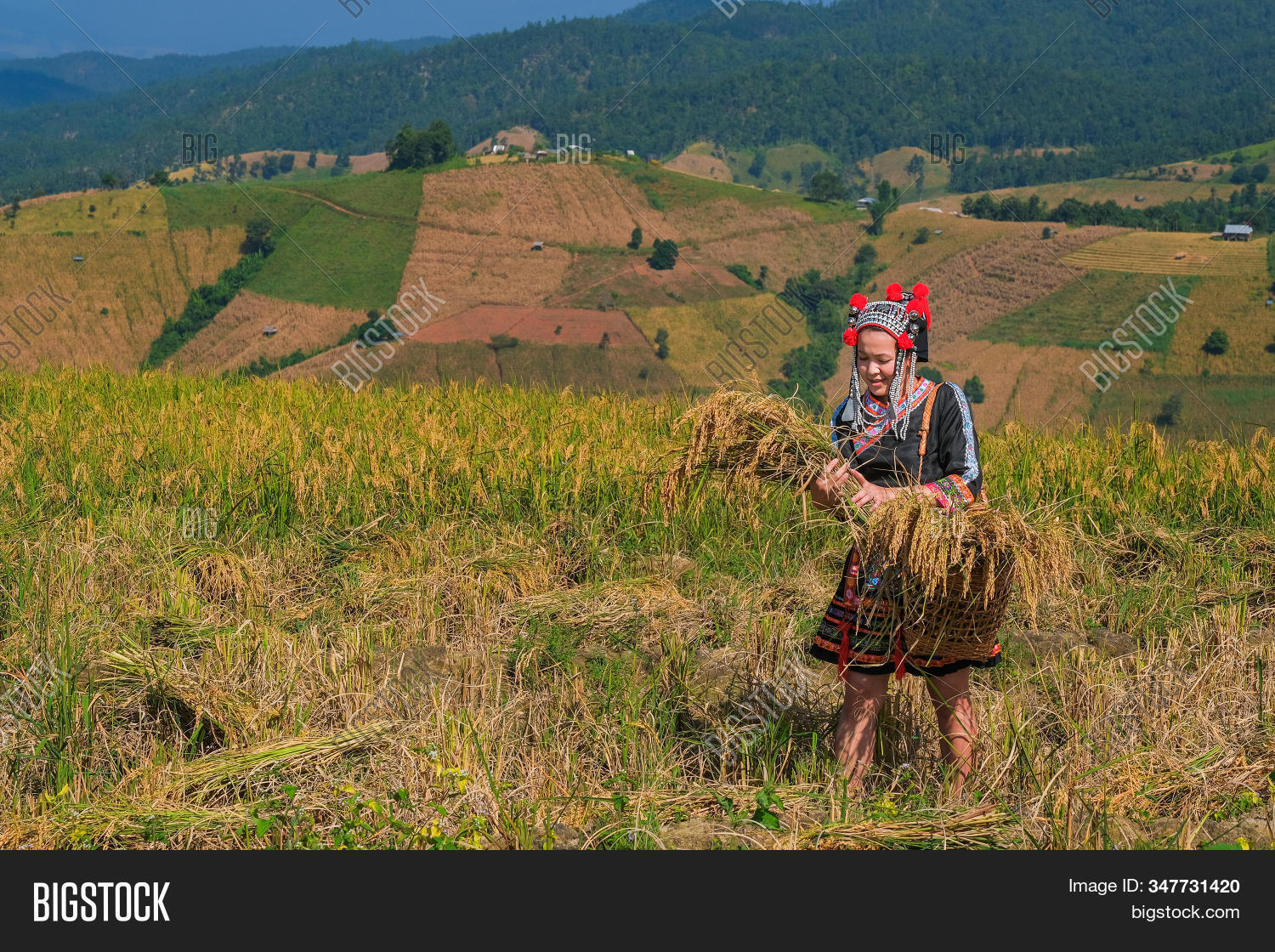 Beautiful Farmer Girl Image & Photo (Free Trial) | Bigstock