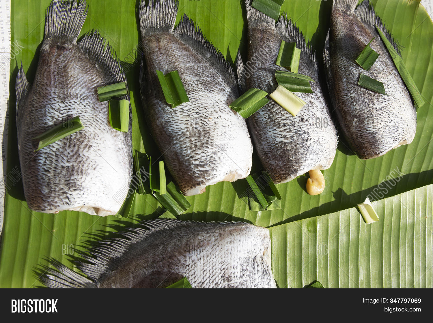 Set Sun Dried Gourami Image & Photo (Free Trial) | Bigstock