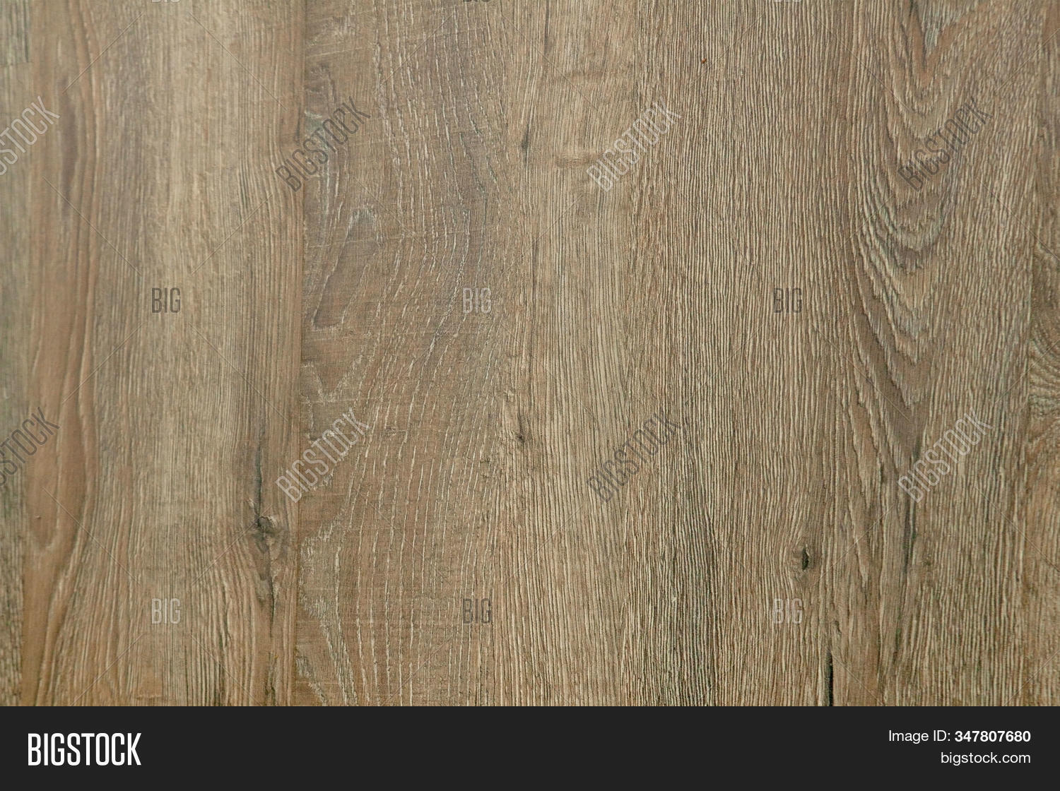 Solid Wood Plywood Image & Photo (Free Trial) | Bigstock