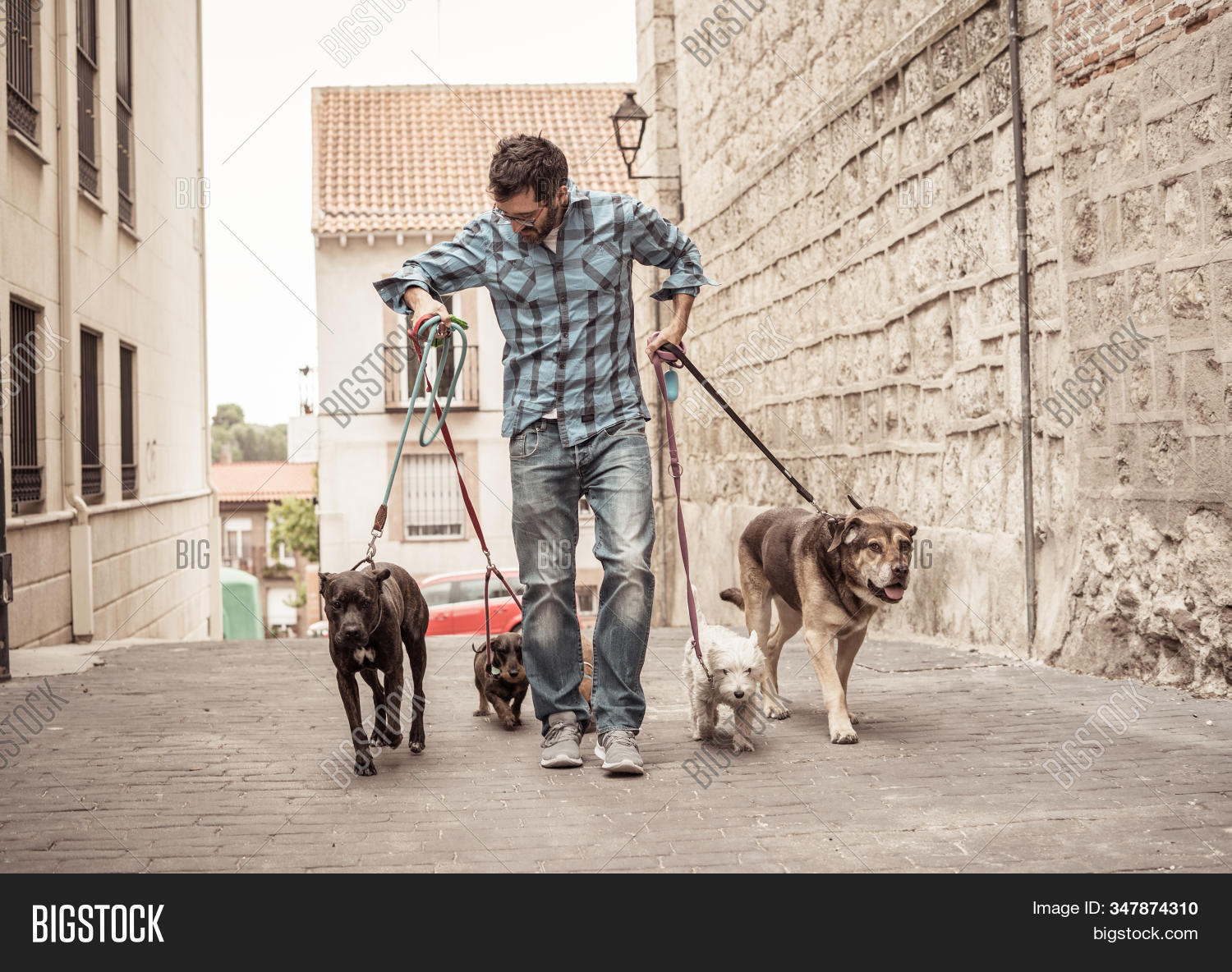Smiling Professional Image & Photo (Free Trial) | Bigstock