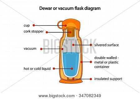 Dewar Vacuum Flask Vector & Photo (Free Trial) | Bigstock
