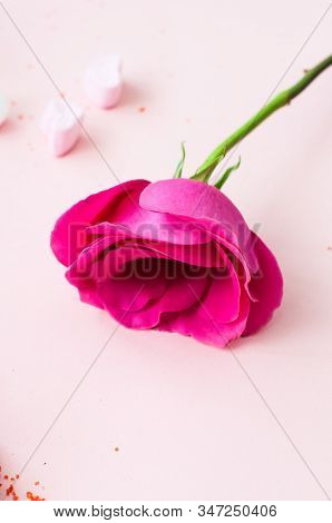 One Rose Flower Head Image & Photo (Free Trial) | Bigstock