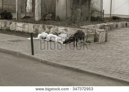 Heaps Trash On Road. Image & Photo (Free Trial) | Bigstock