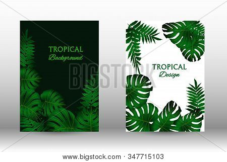 Tropic Covers Set. Vector & Photo (Free Trial) | Bigstock