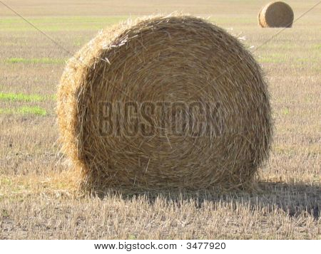 Hay Bale Image & Photo (Free Trial) | Bigstock
