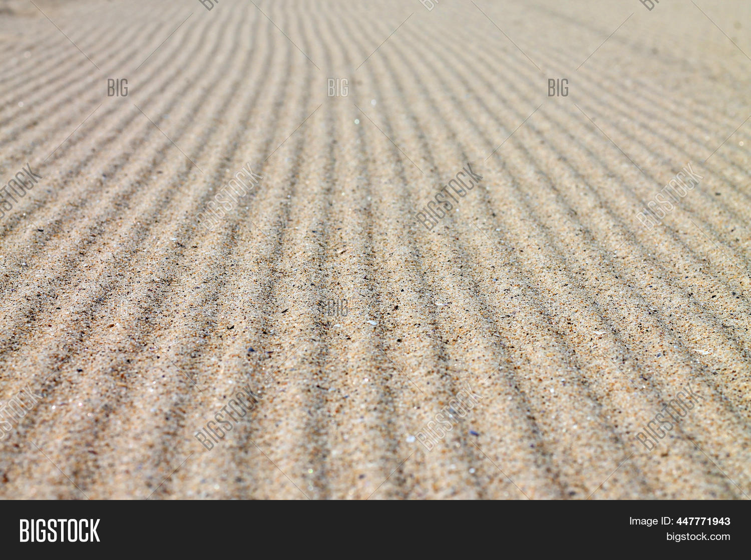 Rippled Sand Texture Image & Photo (Free Trial) | Bigstock