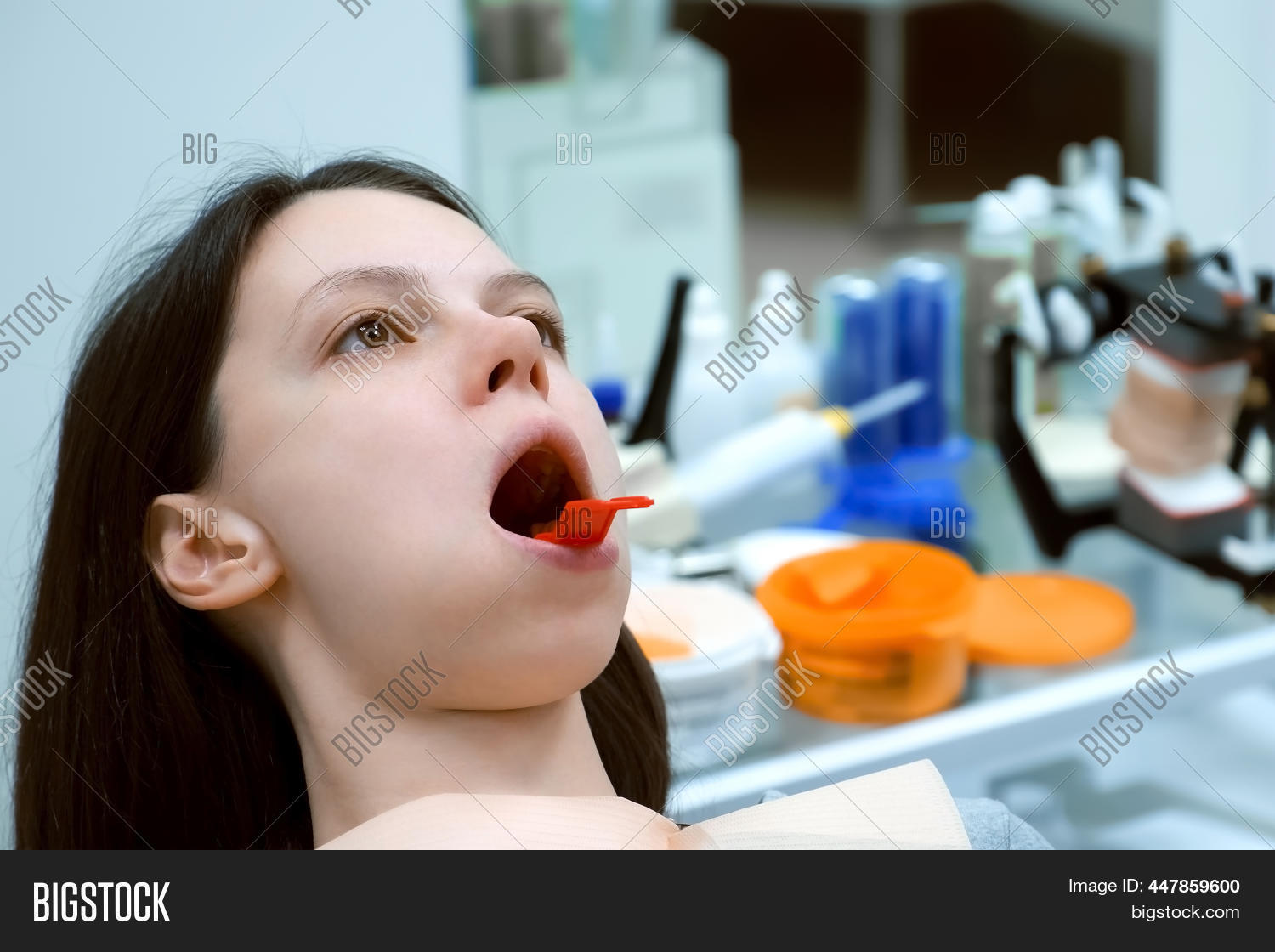 Woman Denture Mould Image & Photo (Free Trial) | Bigstock
