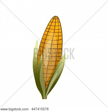 Sweet Golden Corn Vector & Photo (Free Trial) | Bigstock