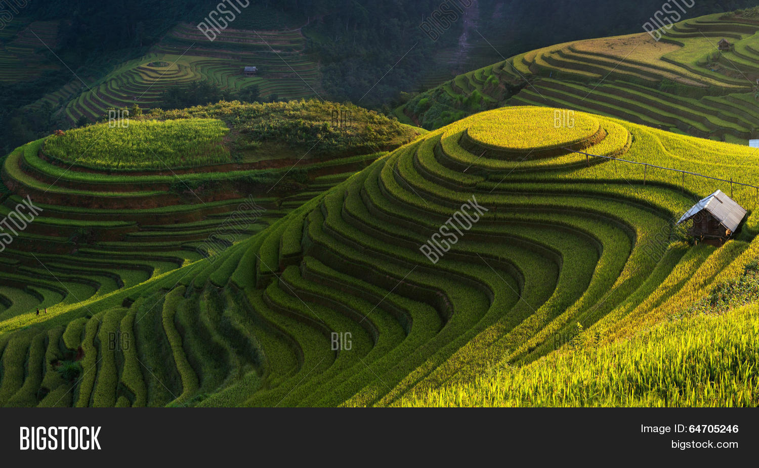 Mu Chang Chai Vietnam Image & Photo (Free Trial) | Bigstock