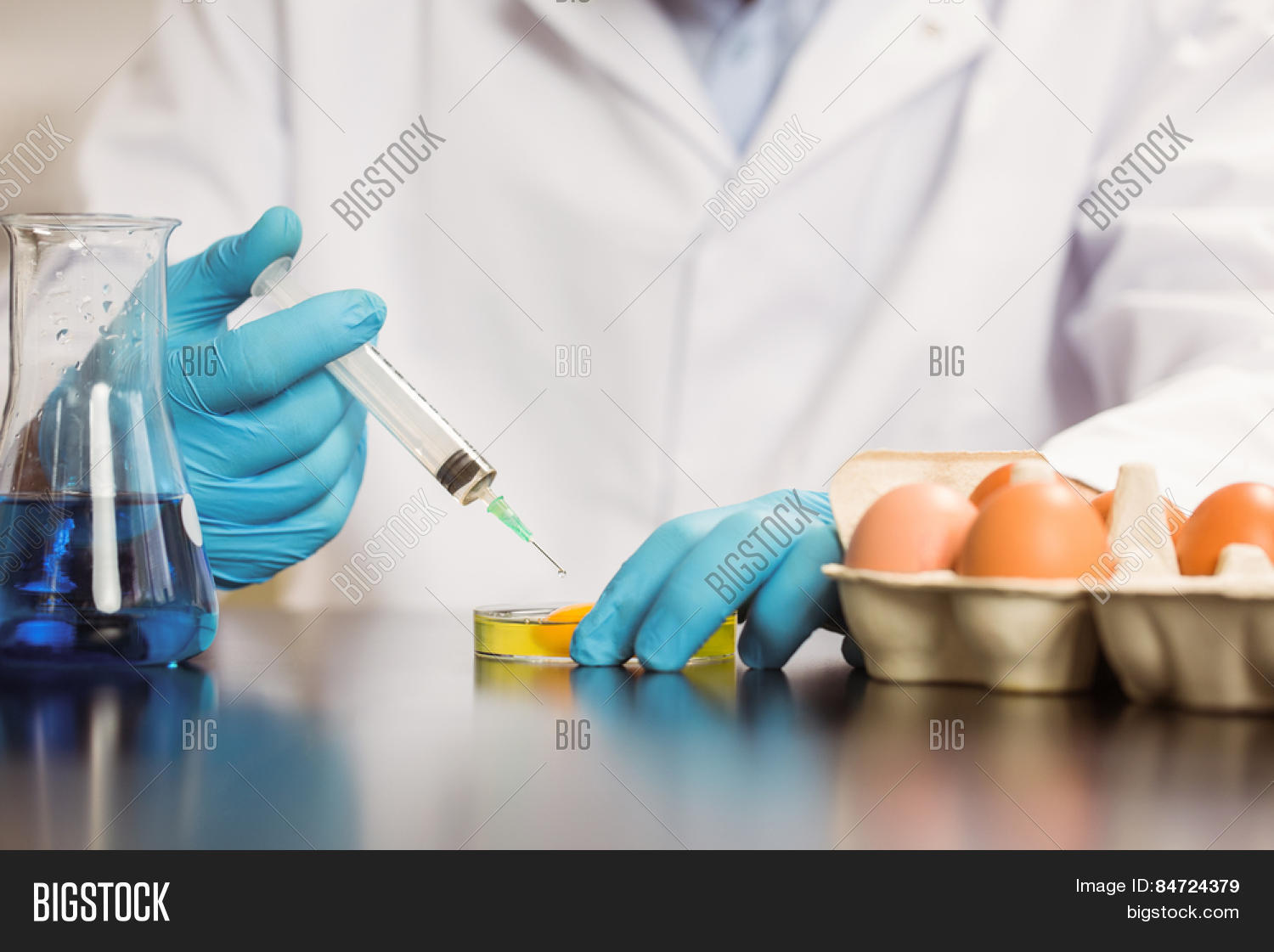 Food Scientist Image & Photo (Free Trial) | Bigstock