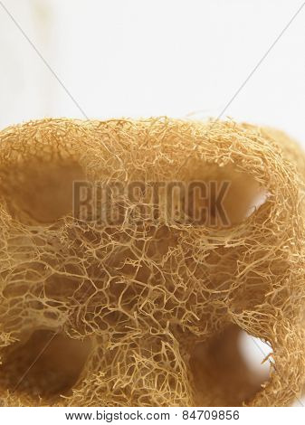 Texture Close Luffa Image & Photo (Free Trial) | Bigstock
