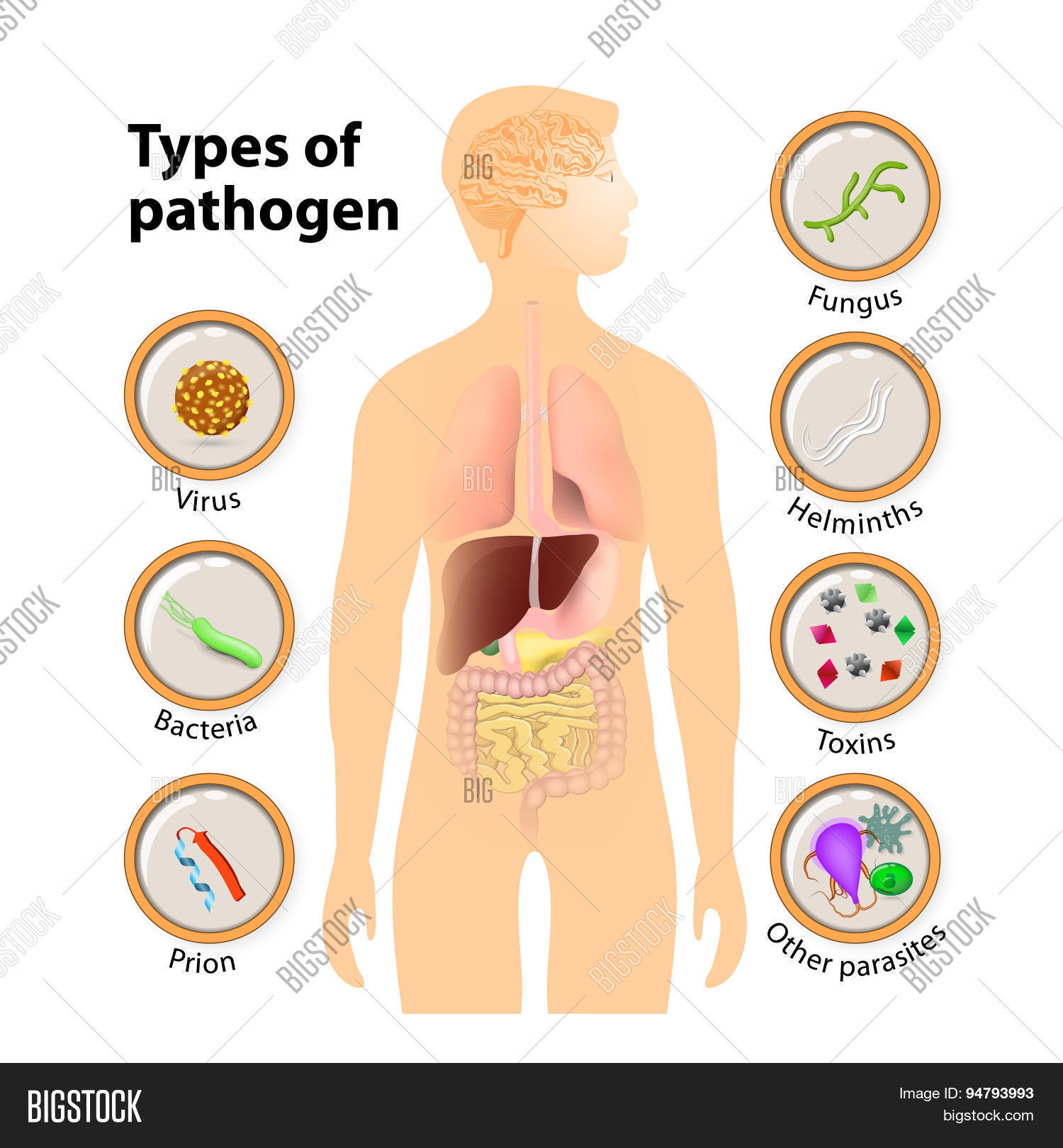 Pathogen Vector & Photo (Free Trial) | Bigstock