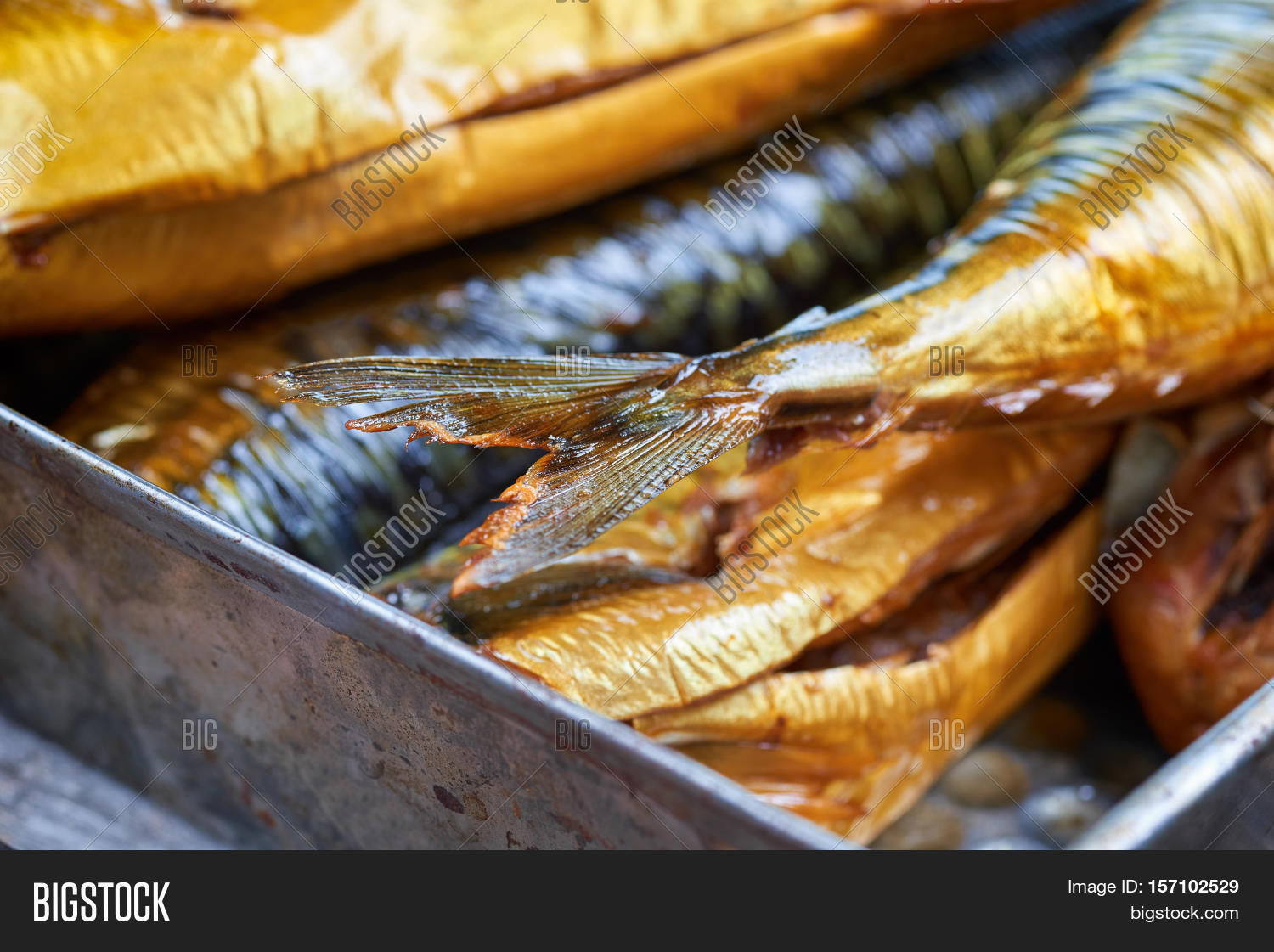 Smoked Fish Tin Pan. Image & Photo (Free Trial) | Bigstock