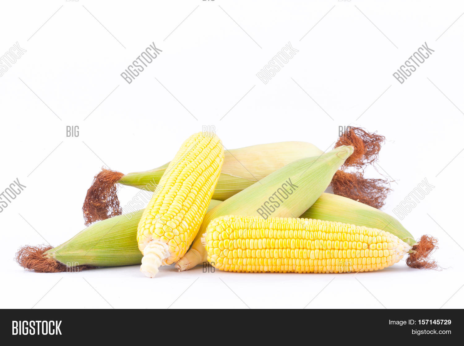 Fresh Ear Sweet Corn Image & Photo (Free Trial) | Bigstock