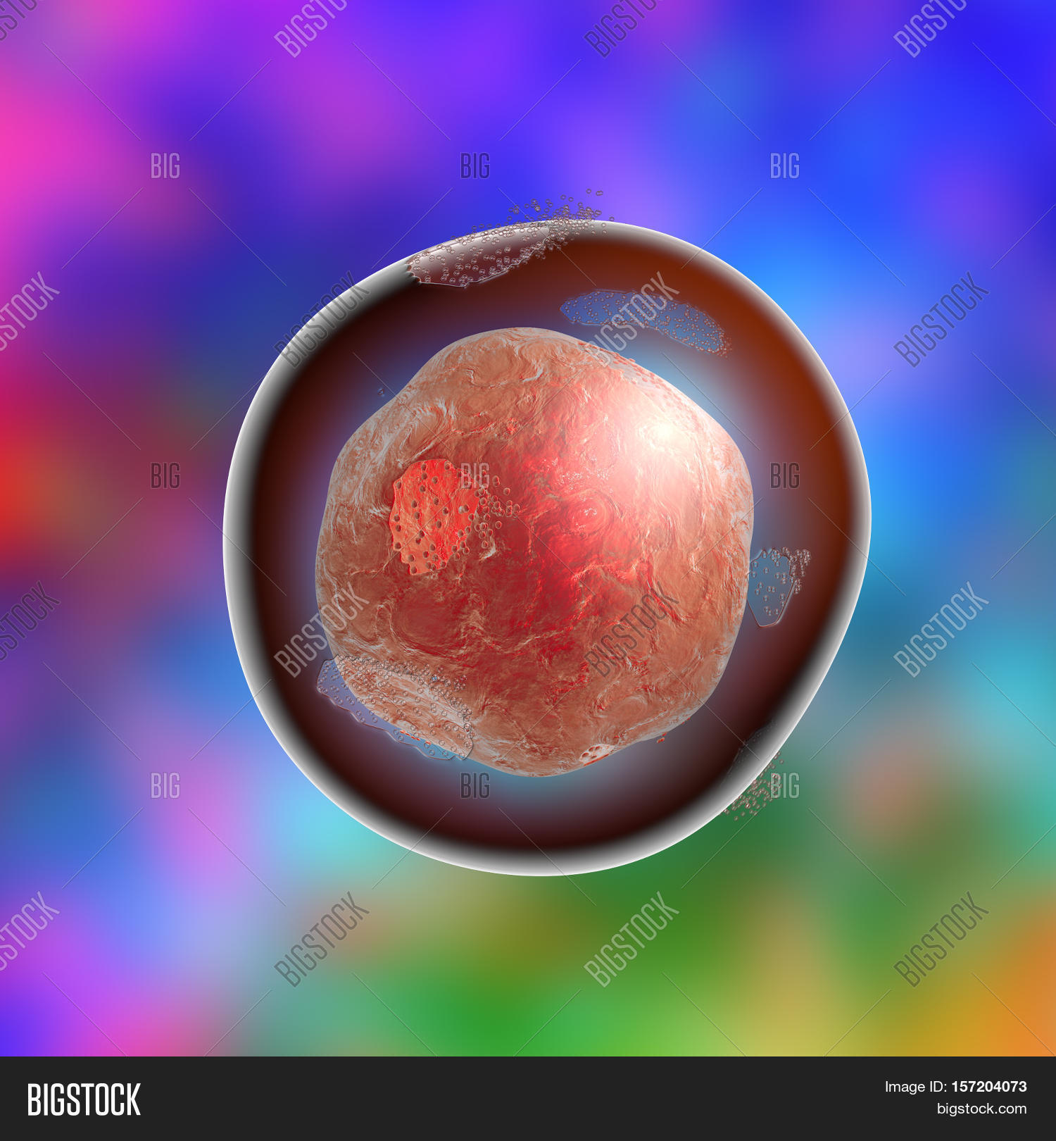 Cell Lysis. Image & Photo (Free Trial) | Bigstock