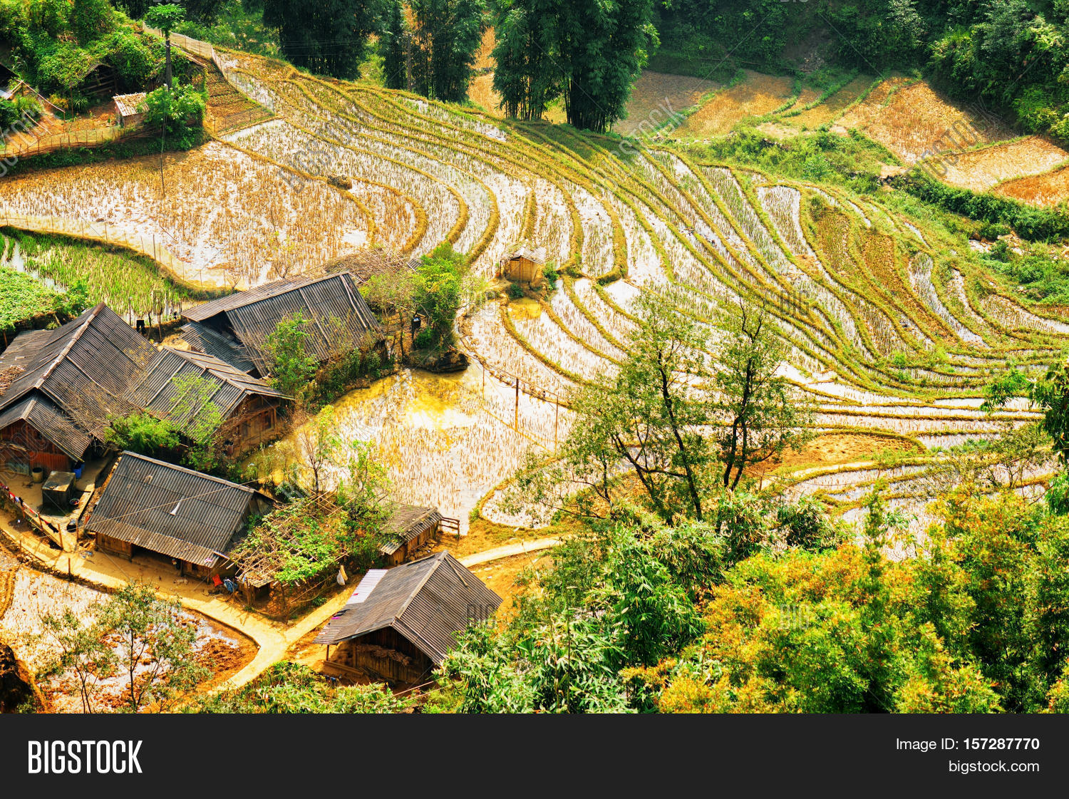View Rice Terraces Image & Photo (Free Trial) | Bigstock