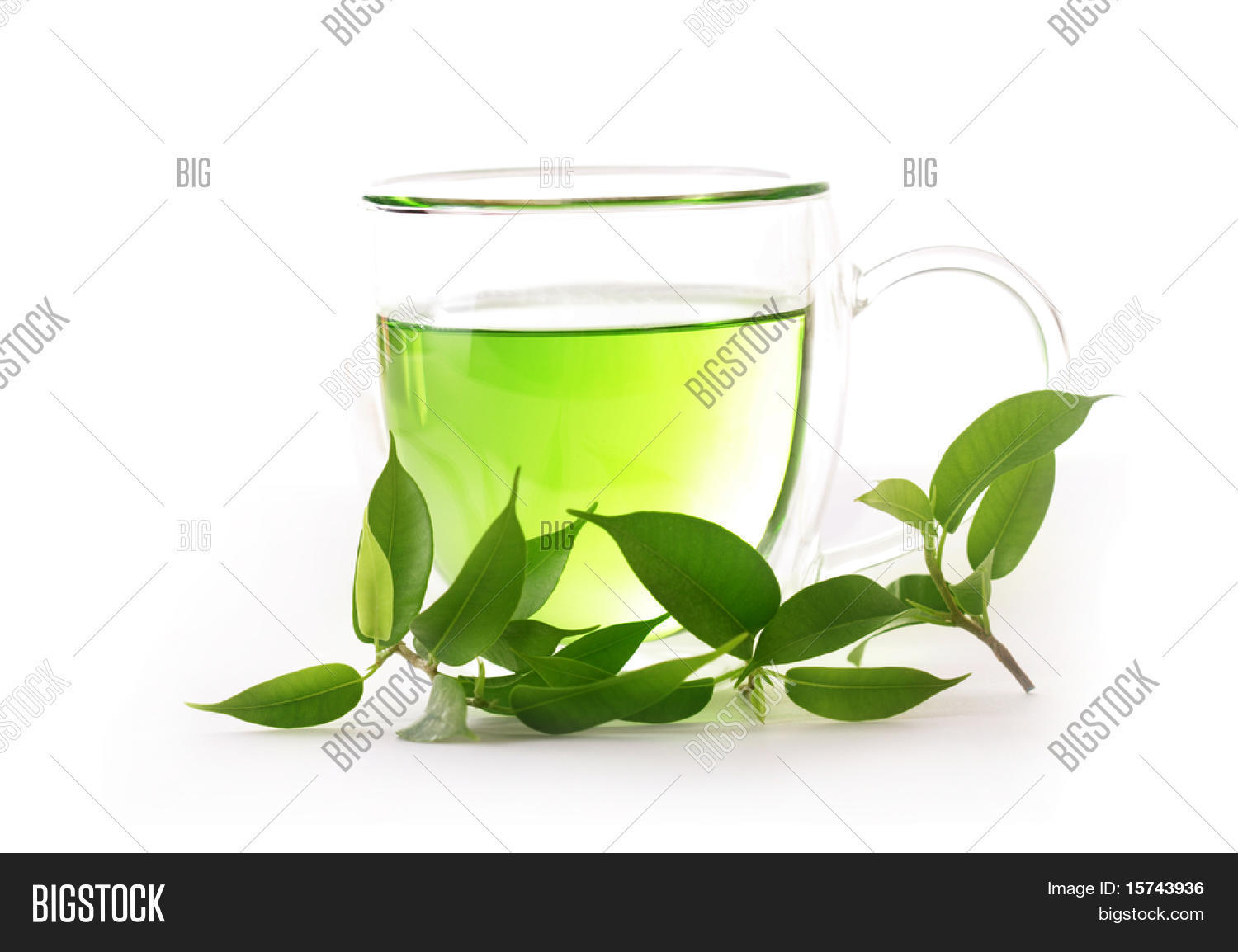 Healthy Green Tea Cup Image & Photo (Free Trial) | Bigstock
