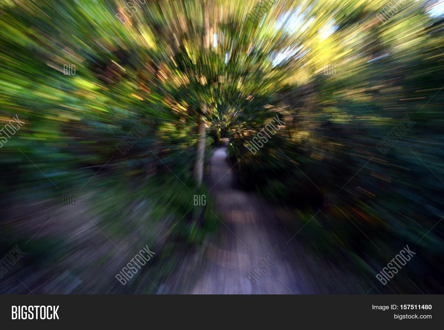 Zoom Into Forest High Image & Photo (Free Trial) | Bigstock