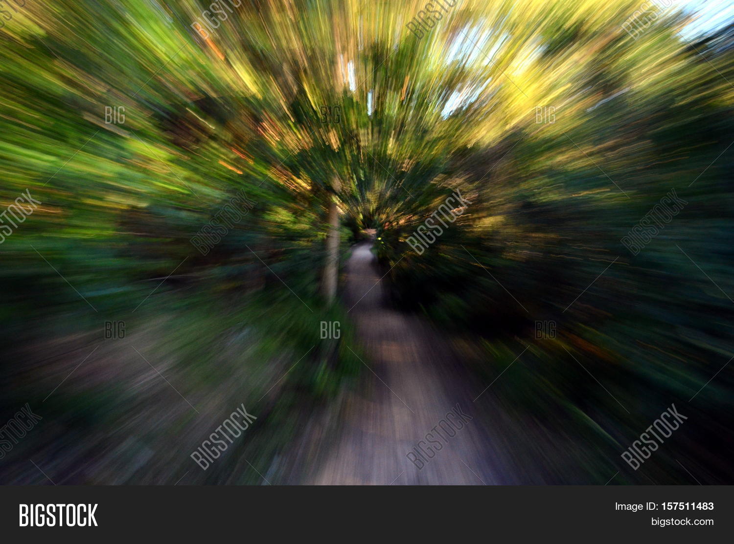 Zoom Into Forest High Image & Photo (Free Trial) | Bigstock